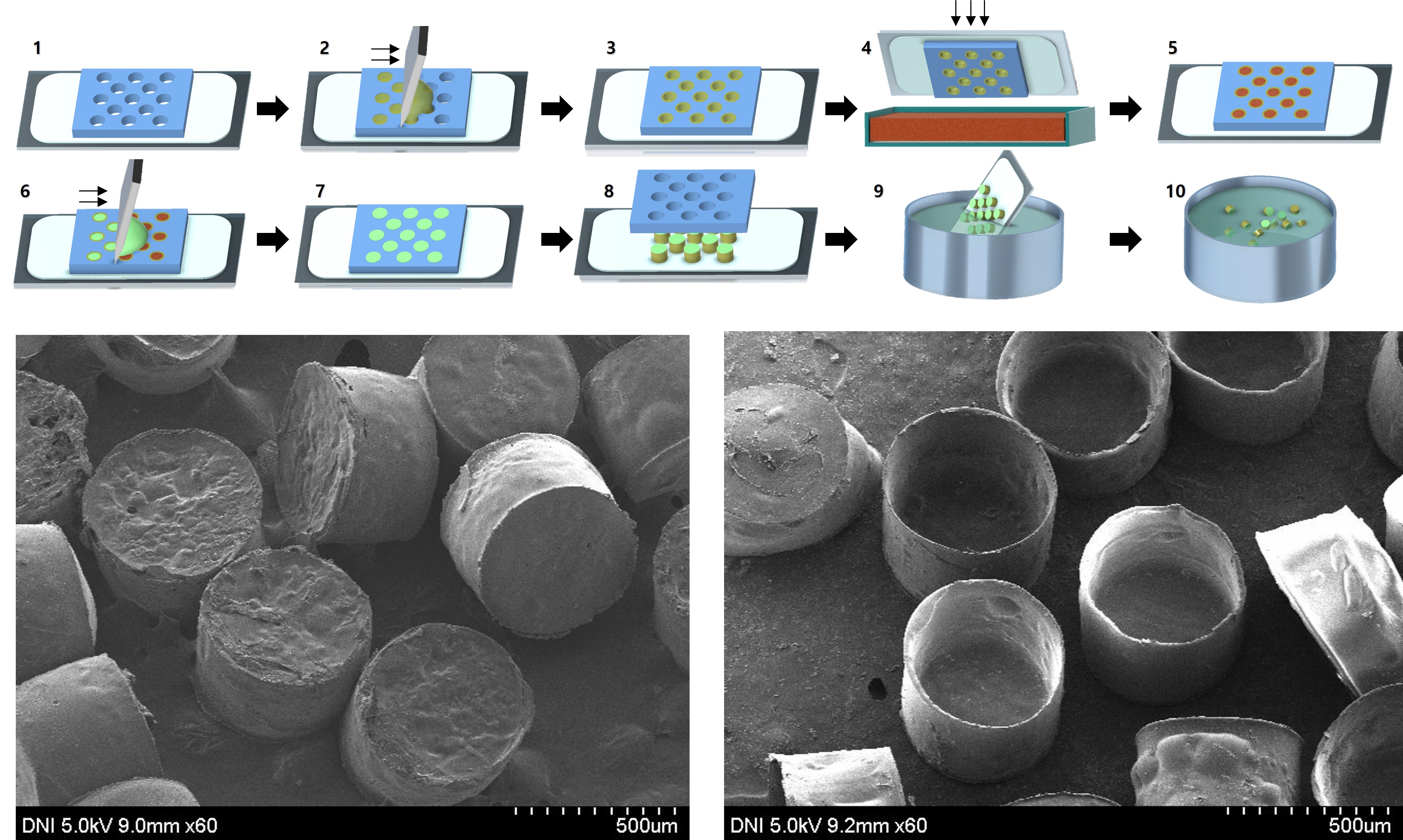 한국정밀공학회 e-News Letter
